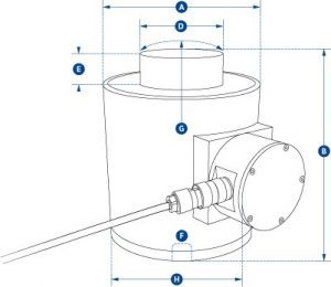 Straightpoint Compression Load Cell – NI Compression | Durham Lifting